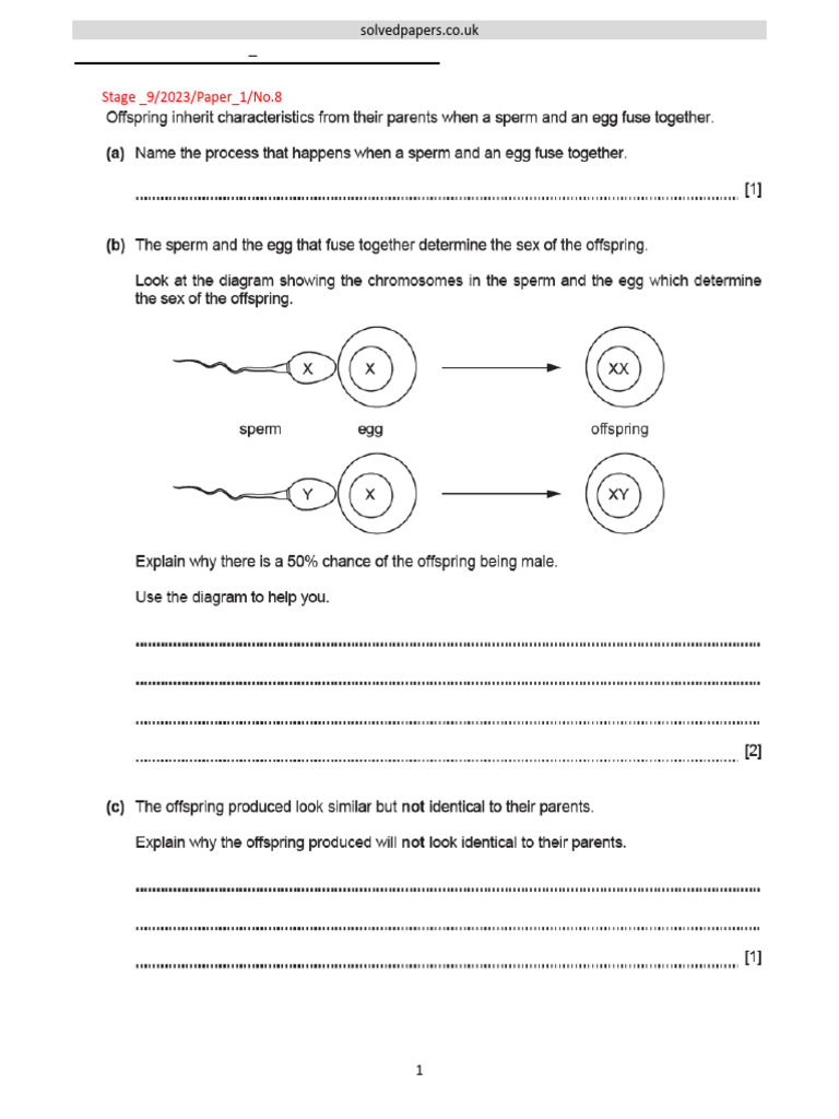2023 2 Chromosomes and DNA Checkpoint Sec 1 Progression Stage 9 | PDF