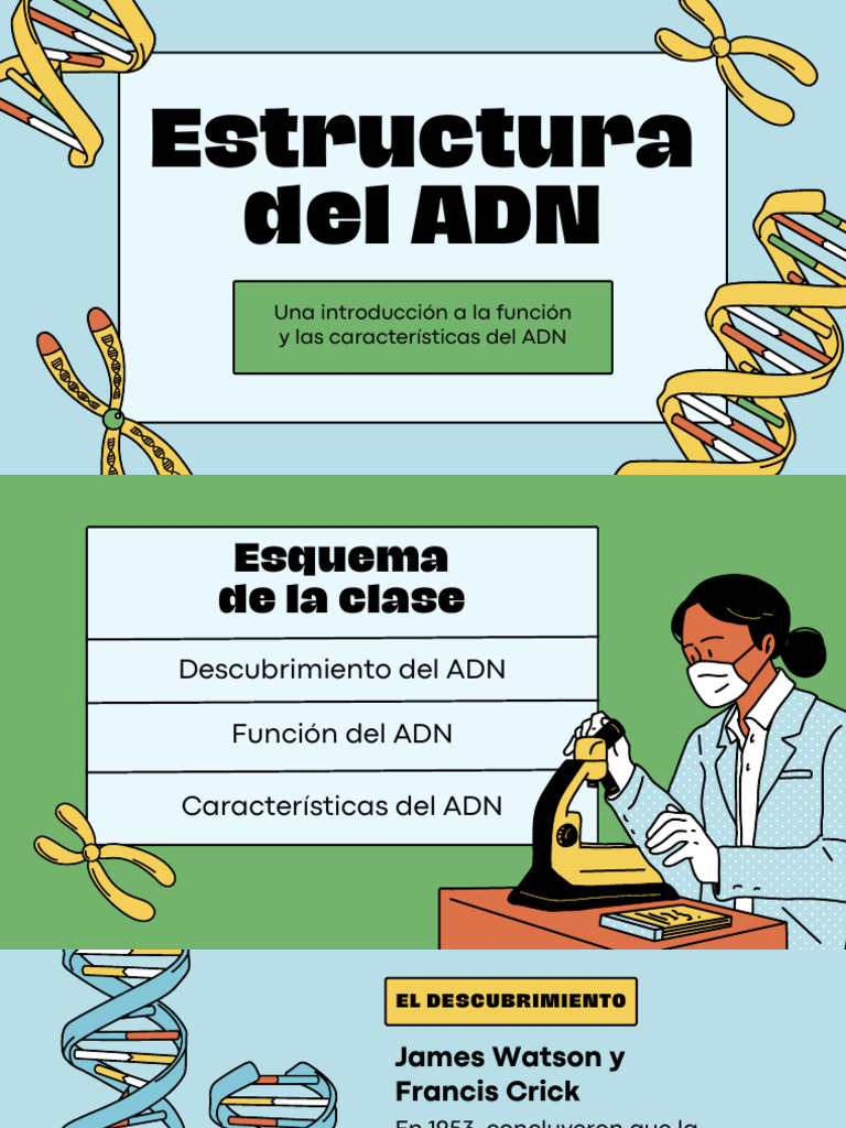 Azul Celeste Verde y Amarillo Estilo Ilustrativo Orgánico Estructura Del ADN Presentación de ...
