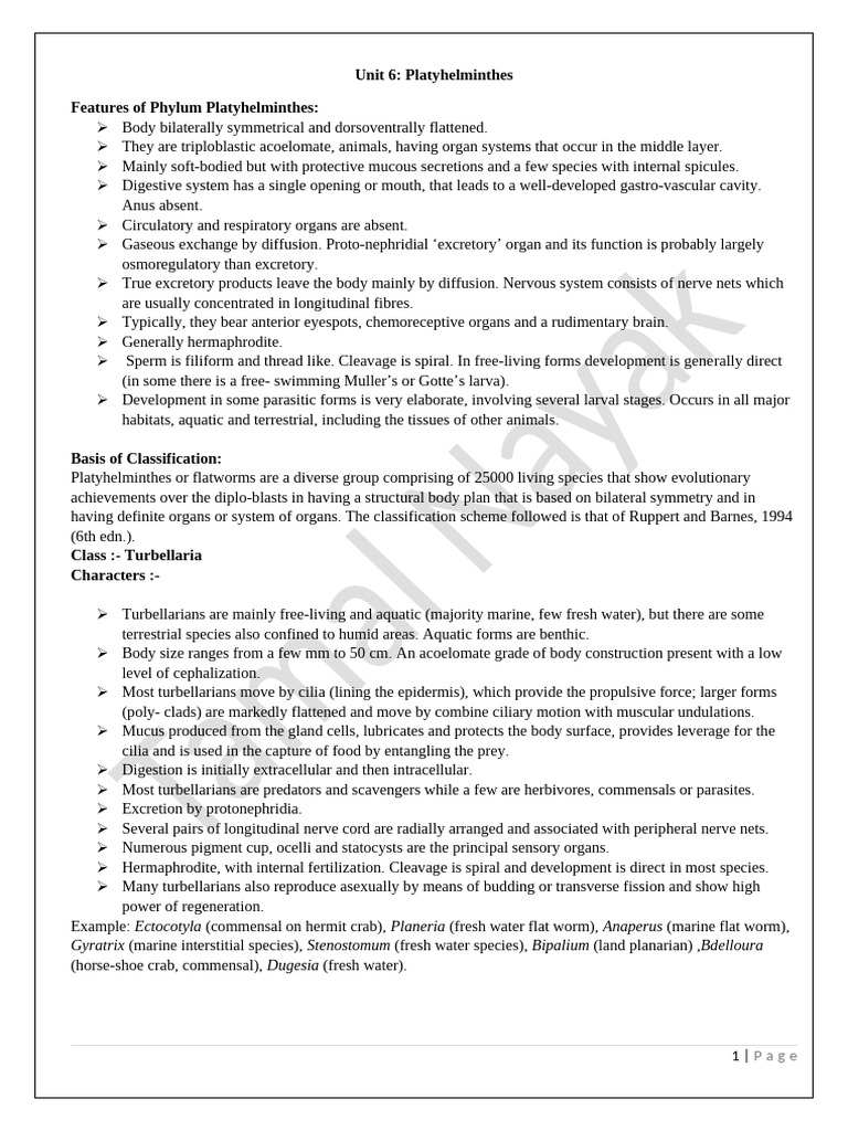 Unit-6 Platyhelminthes Classification | PDF | Biology | Zoology