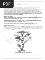 Obelia: Habitat, Structure and Diagram | PDF | Reproduction | Anatomy