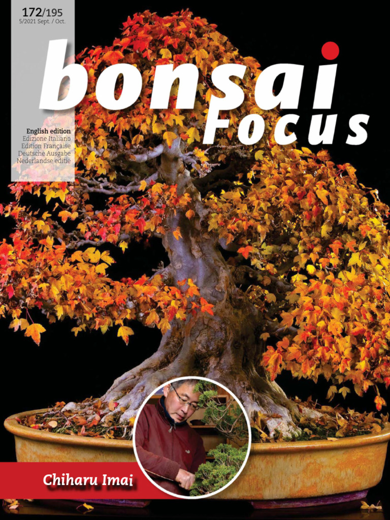 Bonsai Focus English Edition September October 2021 | PDF | Bonsai | Trees