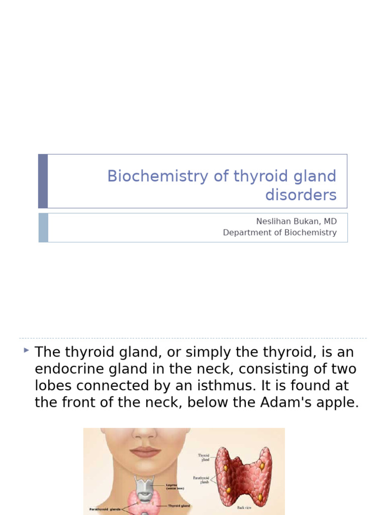 1 - Biochemistry of Thyroid Disease | PDF | Thyroid Stimulating Hormone | Thyroid