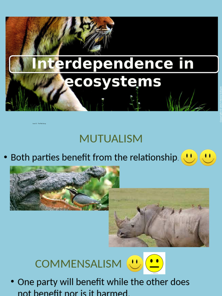 Ecological Studies - Part 3 - Interdependence & Energy Flow | PDF ...