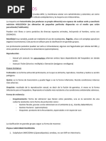 Generalidades de Esporozoarios | PDF | Anatomía | Biología
