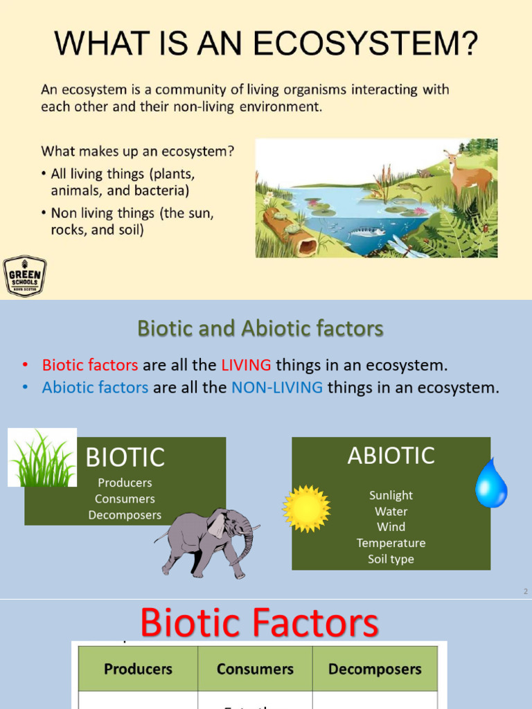 Ecological Studies - Part 2 - Ecosystem, Biotic & Abiotic Factors PDF ...