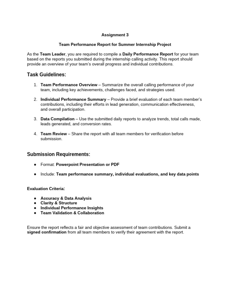 Team Performance Report For Summer Internship Project | PDF
