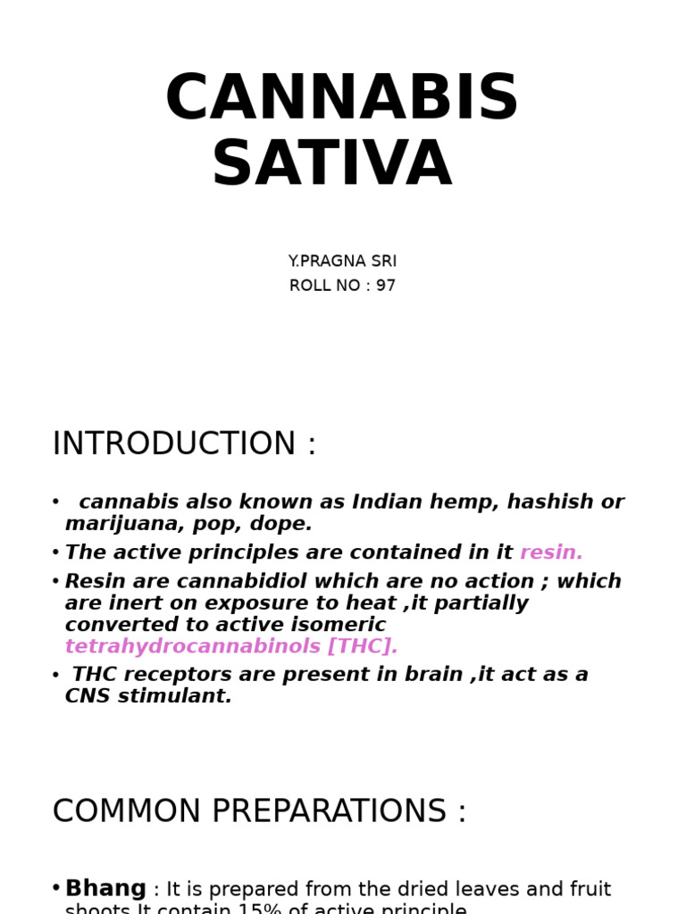Pragna | PDF | Cannabis (Drug) | Tetrahydrocannabinol