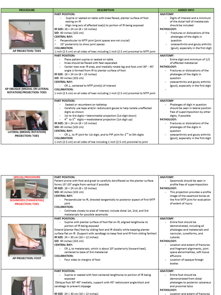 Rt301 Lower-Extremities Finalism | PDF | Foot | Ankle