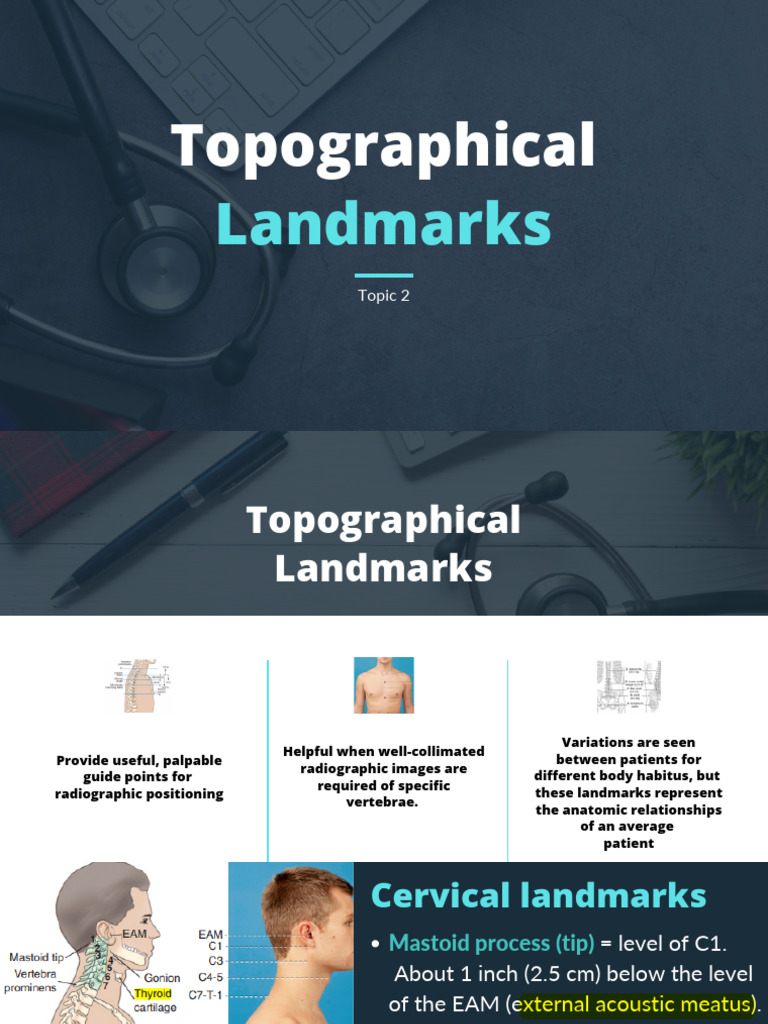 Topographical Landmarks | PDF | Vertebra | Skull