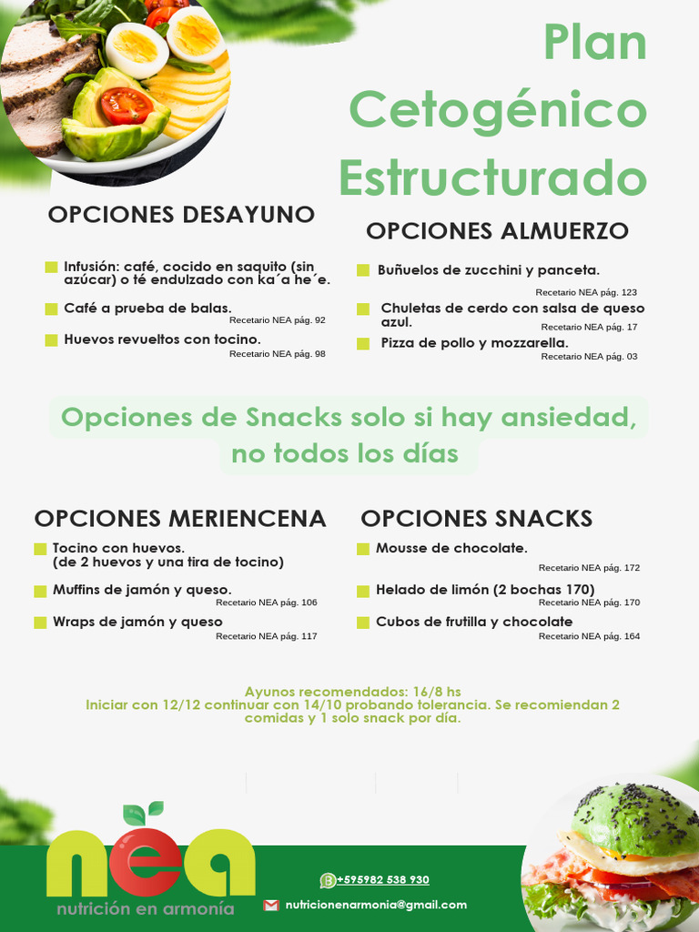 Menú NEA (Original | PDF | Tocino | Alimentos