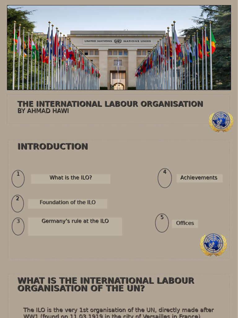 Overview of the International Labour Organisation | PDF | International ...