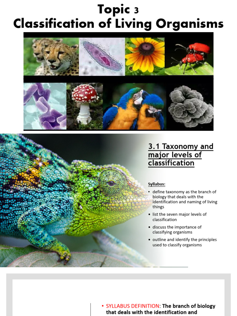 Taxonomy and Classification of Organisms | PDF | Taxonomy (Biology ...