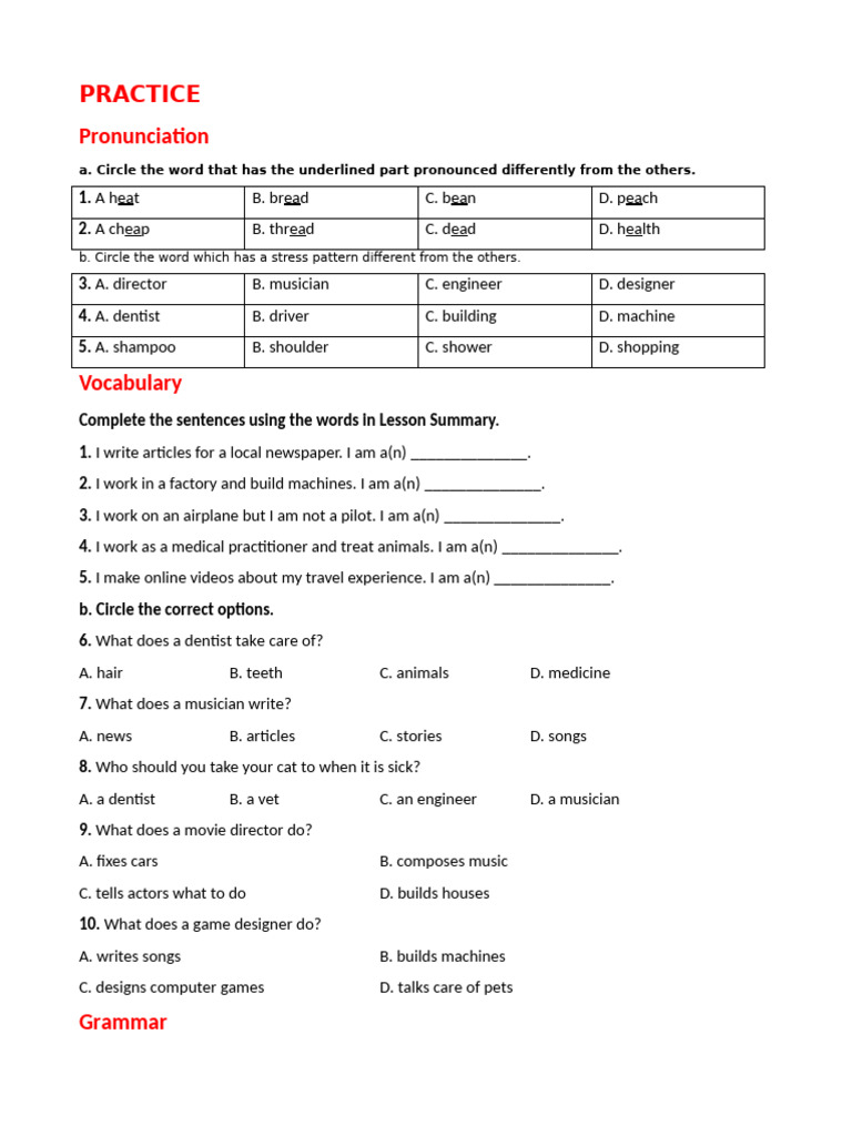 Pronunciation and Vocabulary Practice Guide | PDF | Adolescence | Bullying