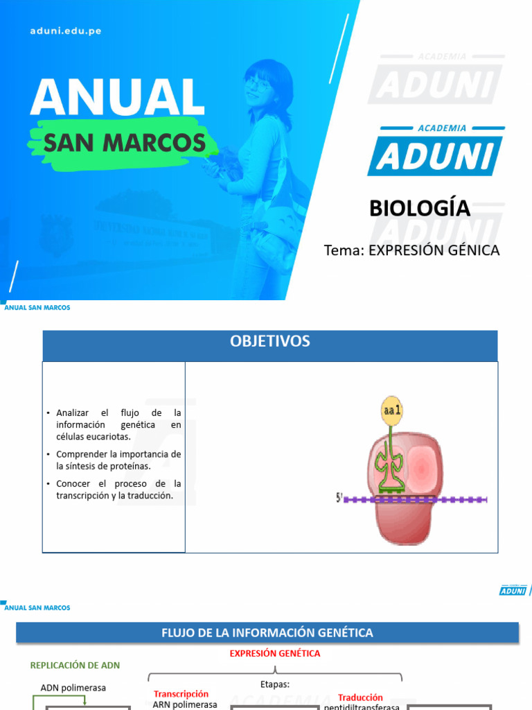 ASM-BI2-TS010 | PDF | Rna | Traducción (biología)