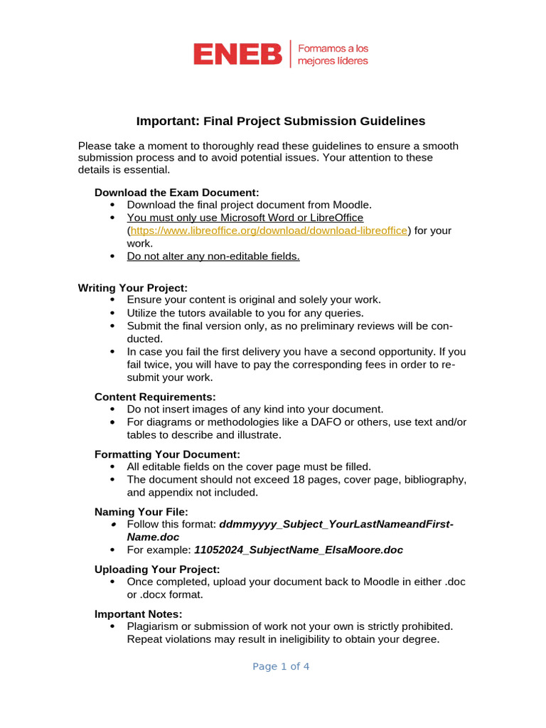 Final Project Submission Guidelines | PDF | Computing