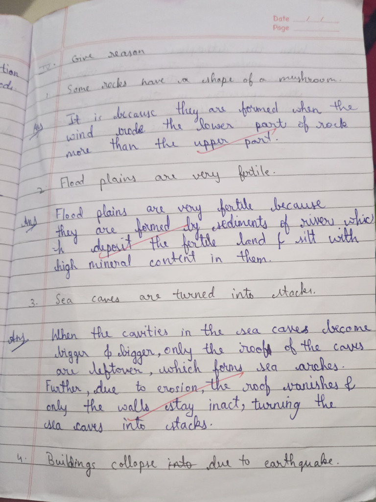 Social Notes Class7 | PDF