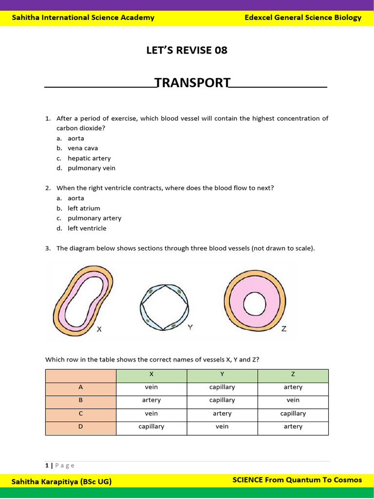 Let_s Revise 08 - Biology - Transport | PDF | Vein | Artery
