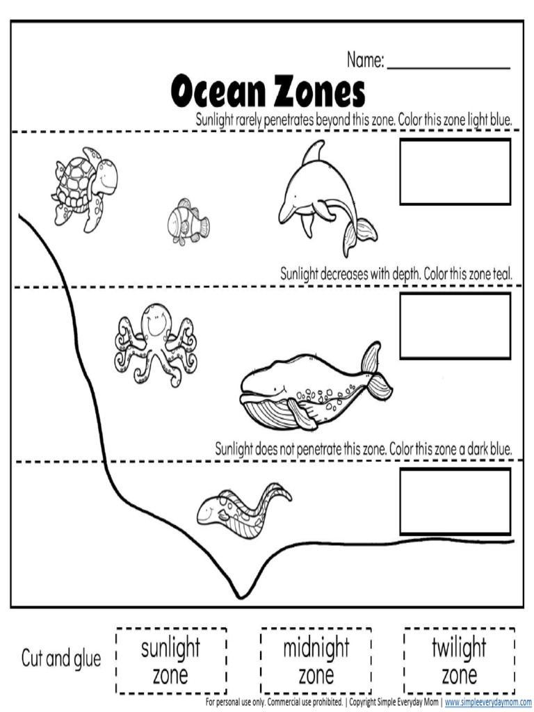 Ocean Zones For Kids Worksheet 2 | PDF