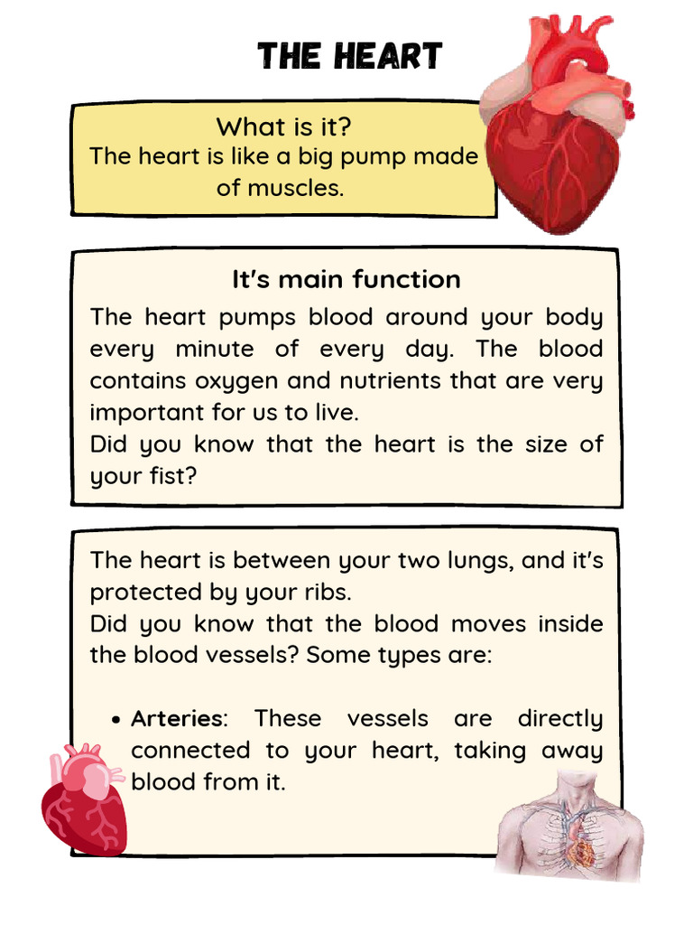 Understanding Heart Health Basics | PDF