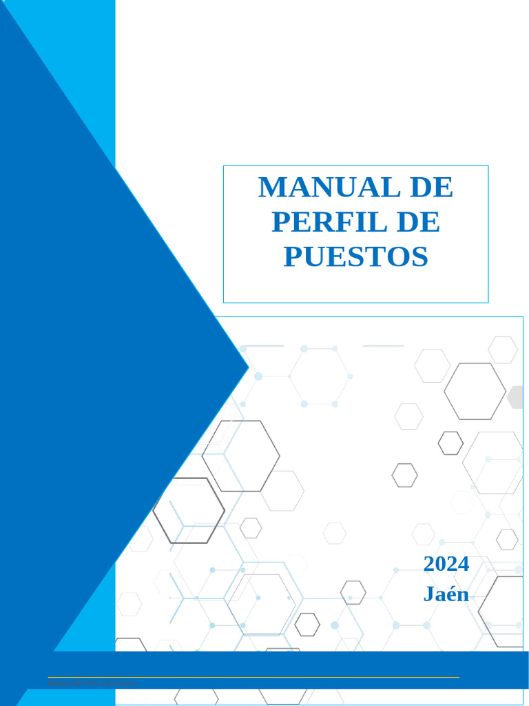 Manual de Perfil de Puestos | PDF | Hospital | Contabilidad