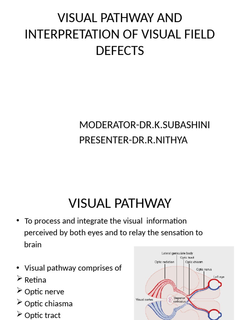 VISUAL PATHWAY AND INTERPRETATION OF VISUAL FIELD DEFECTS | PDF ...
