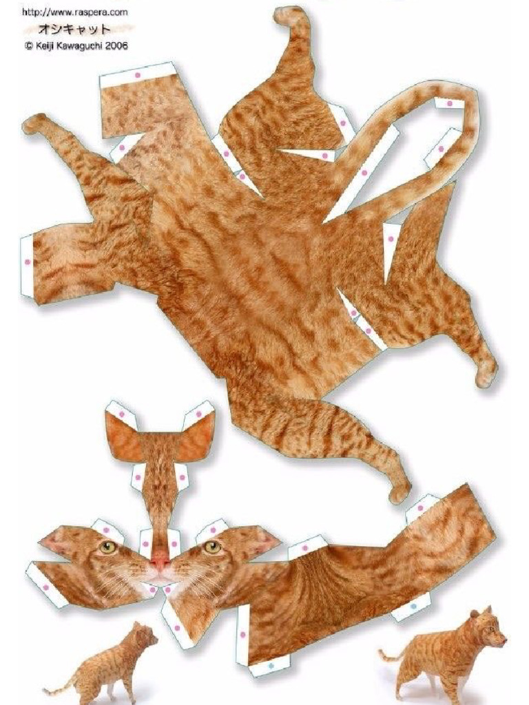 Gato Papercraft | PDF