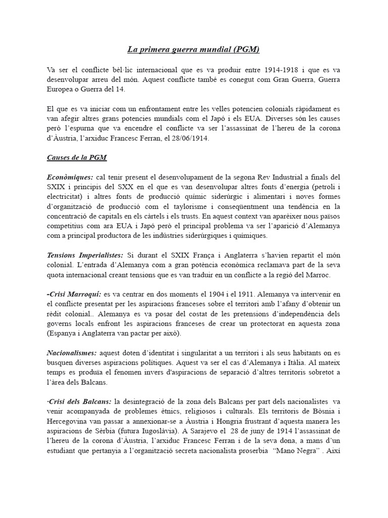 La Primera Guerra Mundial (PGM) | PDF