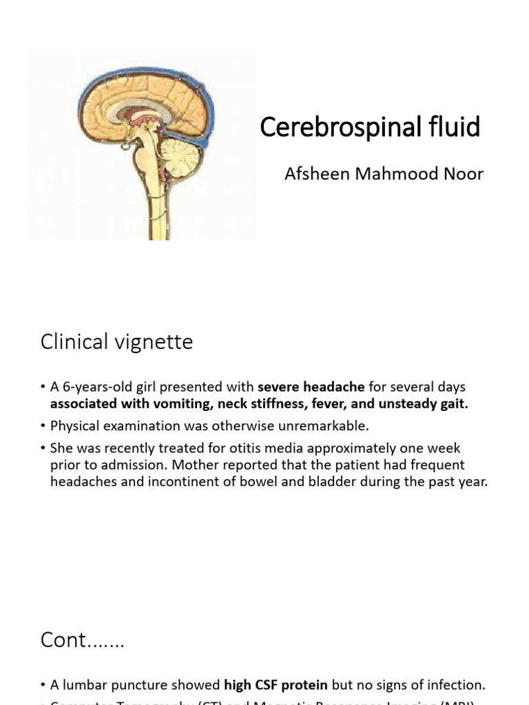 CSF | PDF | Cerebrospinal Fluid | Nervous System