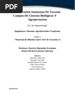 Sistema de Roza y Quema Maya | PDF | México | Agricultura