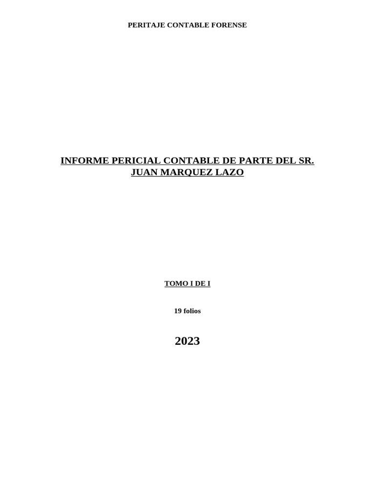 Informe Pericial Contable 2023 | PDF | Auditoría | Contabilidad