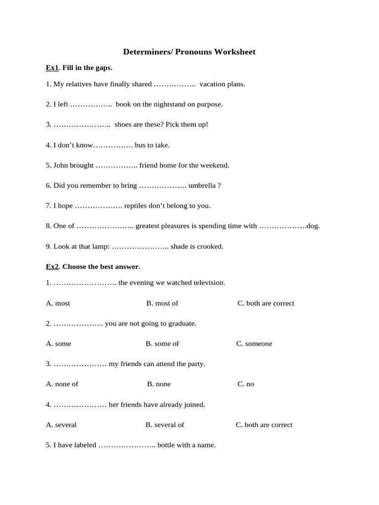 Determiners and Pronouns Practice Worksheet | PDF