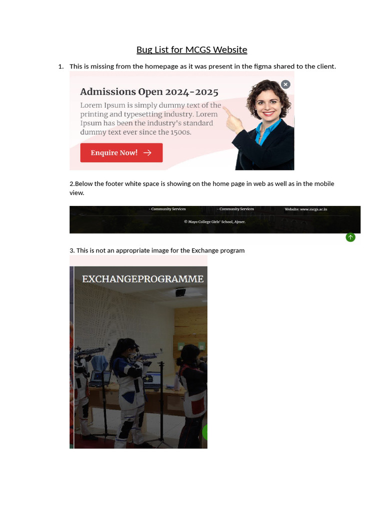 Bug List For MCGS Website | PDF