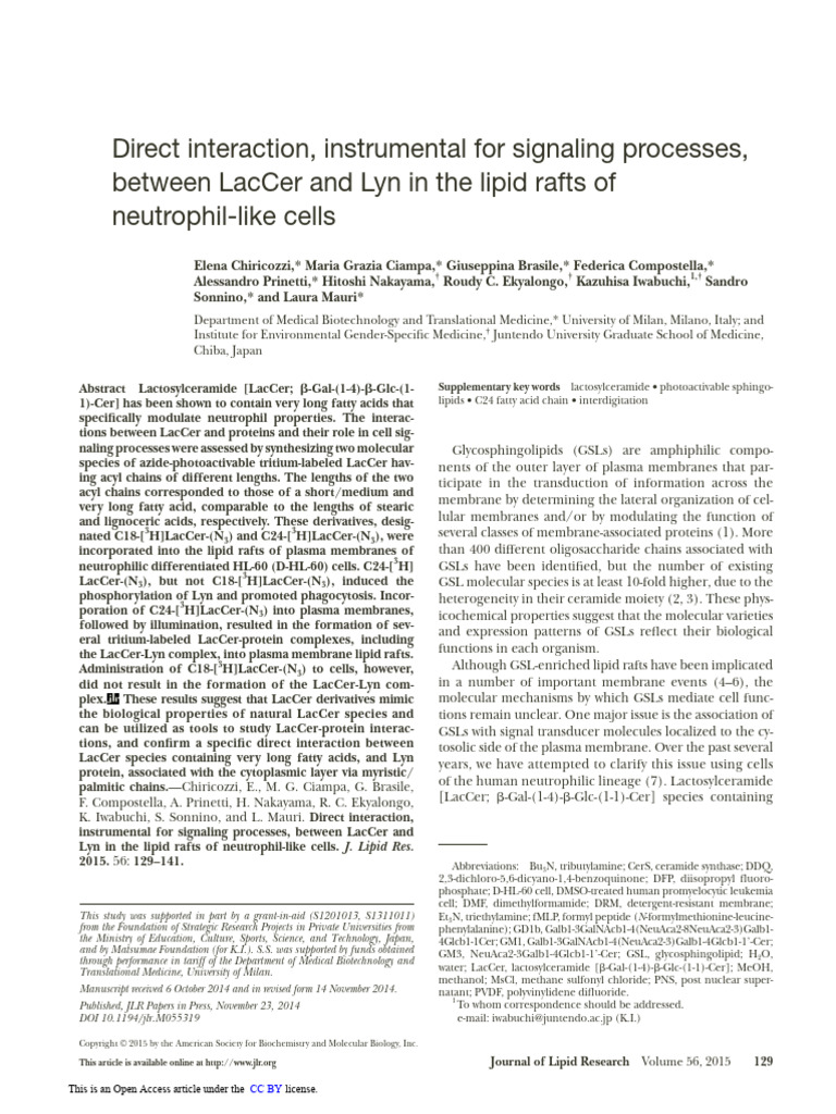 LacCer and Lyn Interaction in Neutrophils | PDF | Cell Membrane