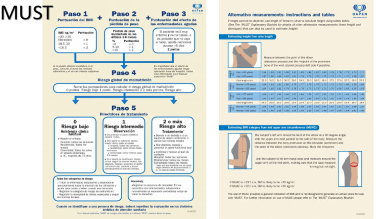 Formato Must - Tamizaje | PDF