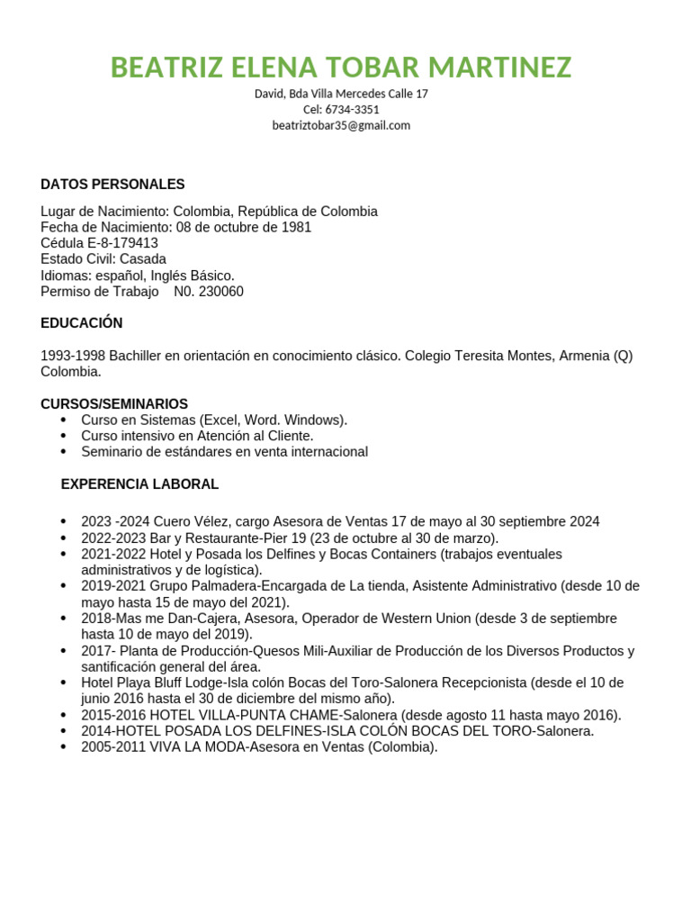 Curriculum Beatriz | PDF | Informática | Microsoft