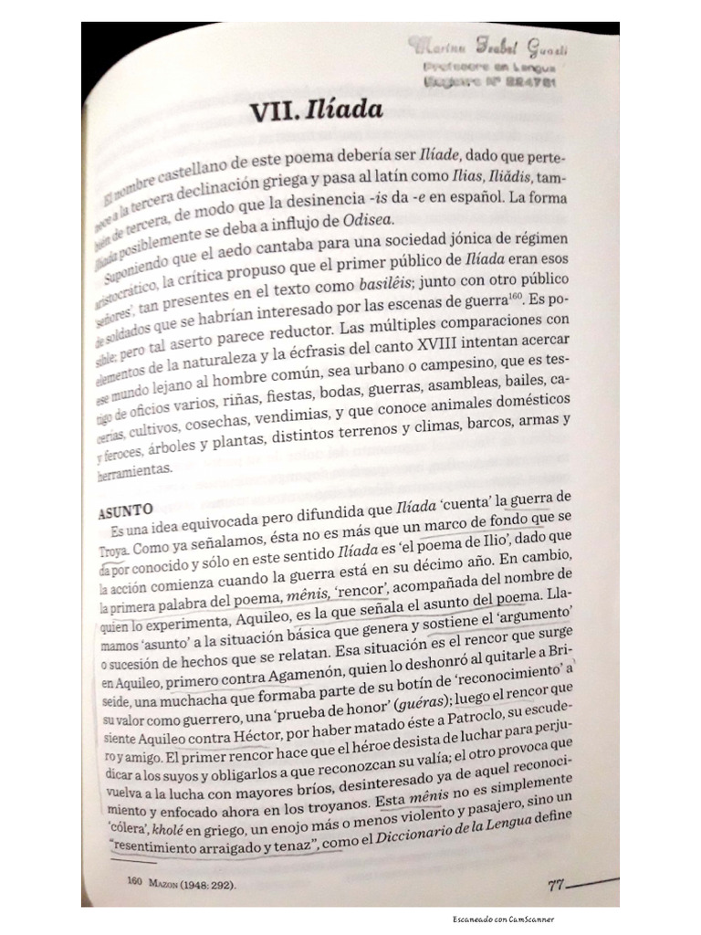 Cavallero-Pablo-VII-Iliada | PDF