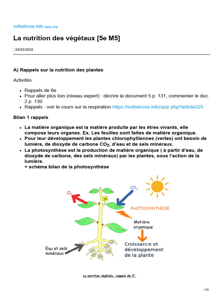 Nutrition des Plantes et Photosynthèse | PDF | Feuille | Photosynthèse