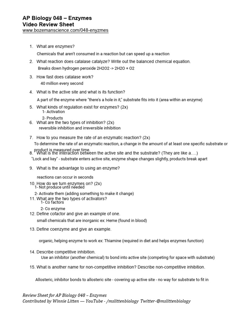 AP Biology Enzymes Review Sheet | PDF | Enzyme | Active Site