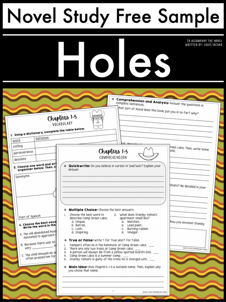 HolesNovelStudyUnitFREESampleWorksheetsandActivities 1 | PDF