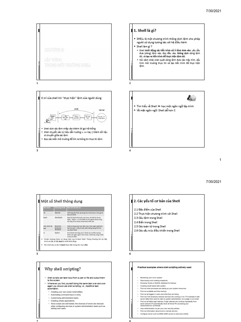UChuong 6 - Lập Trình Trong Môi Trường Shell | PDF