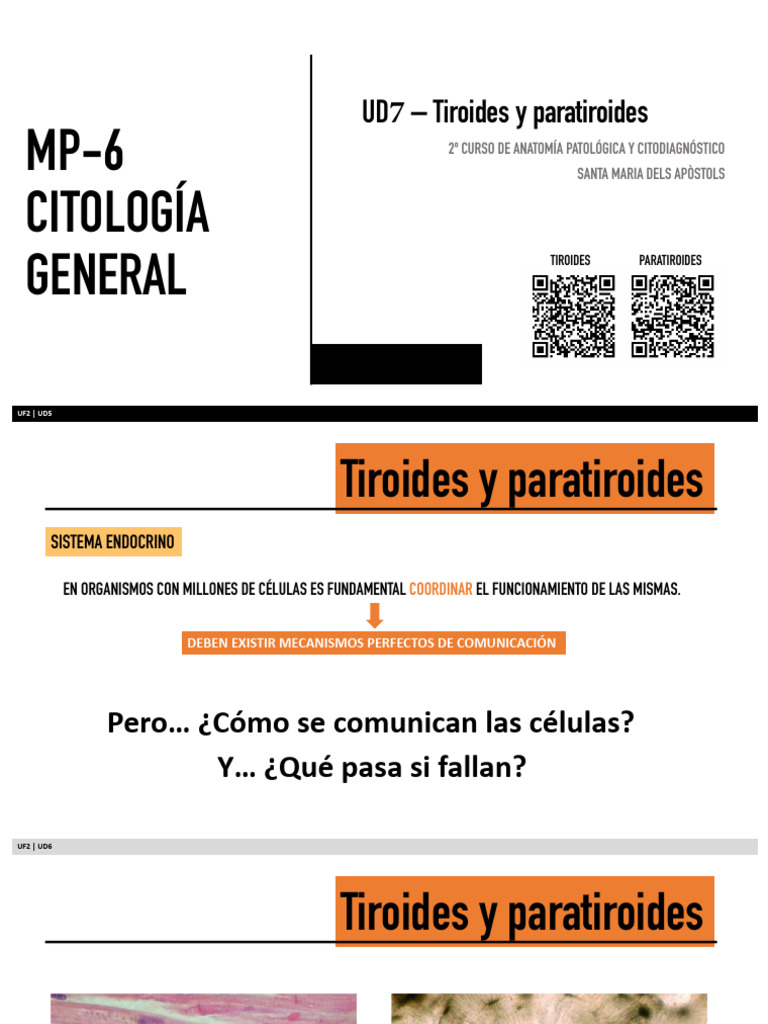 UD7 - Tiroides I Paratiroides | PDF | Tiroides | Sistema endocrino