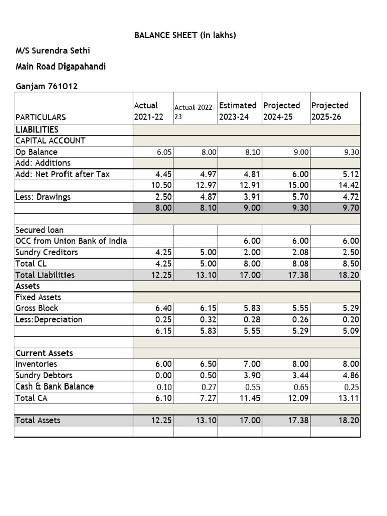 Surendra Sethi Balance Sheet Overview | PDF