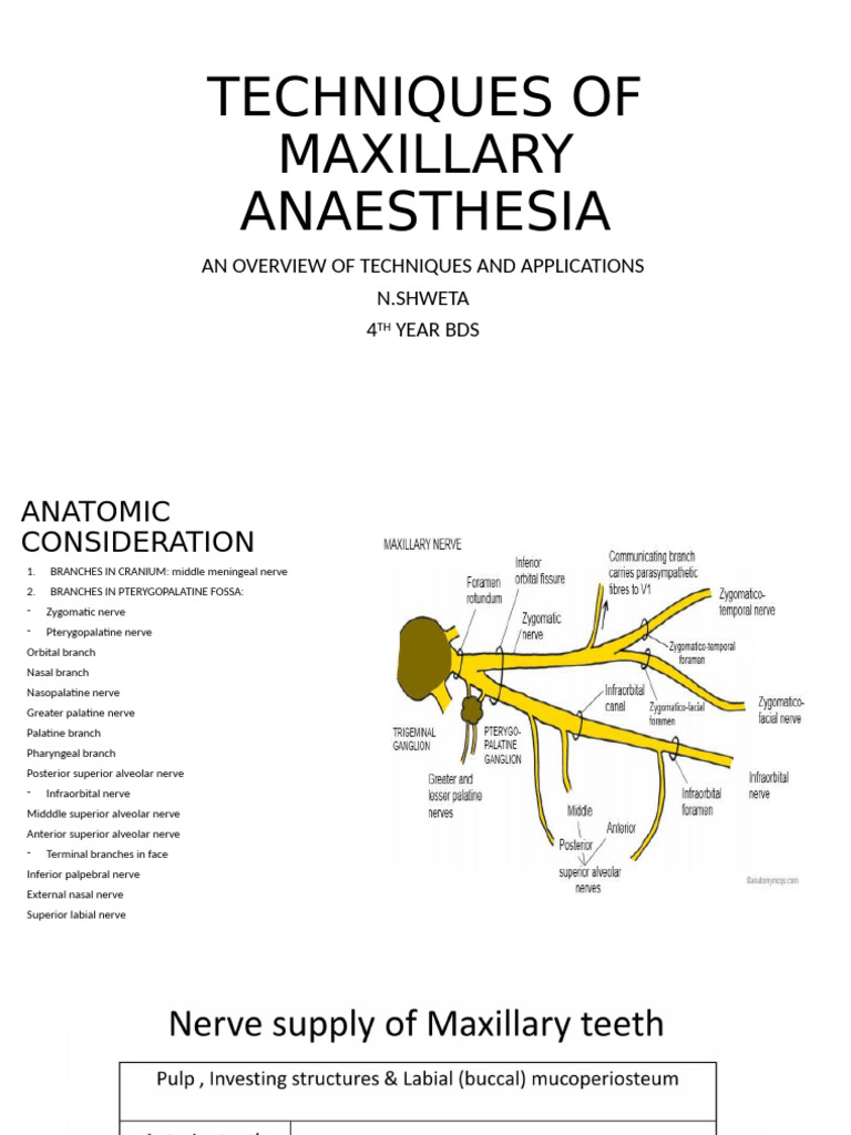 Techniques of Maxillary Anaesthesia | PDF | Human Anatomy | Human Head ...