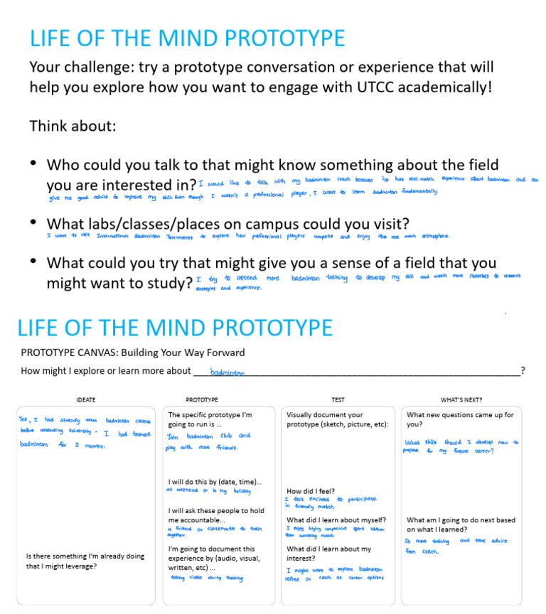 Life of Mind Prototype | PDF