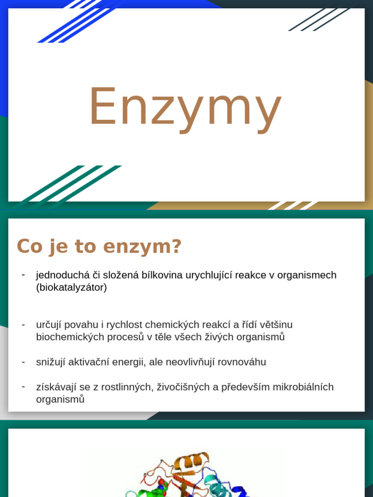 Enzymy | PDF