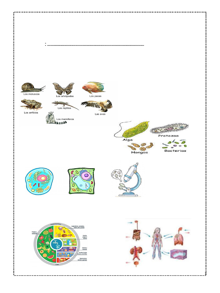 Cuadernillo 1 FINAL 5Â°2025 Organismos Pluri-Uni. NutriciÃ N en El Ser Humano | PDF | Alimentos ...