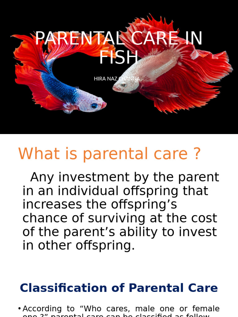 Parental Care in Fish | PDF | Egg | Ethology