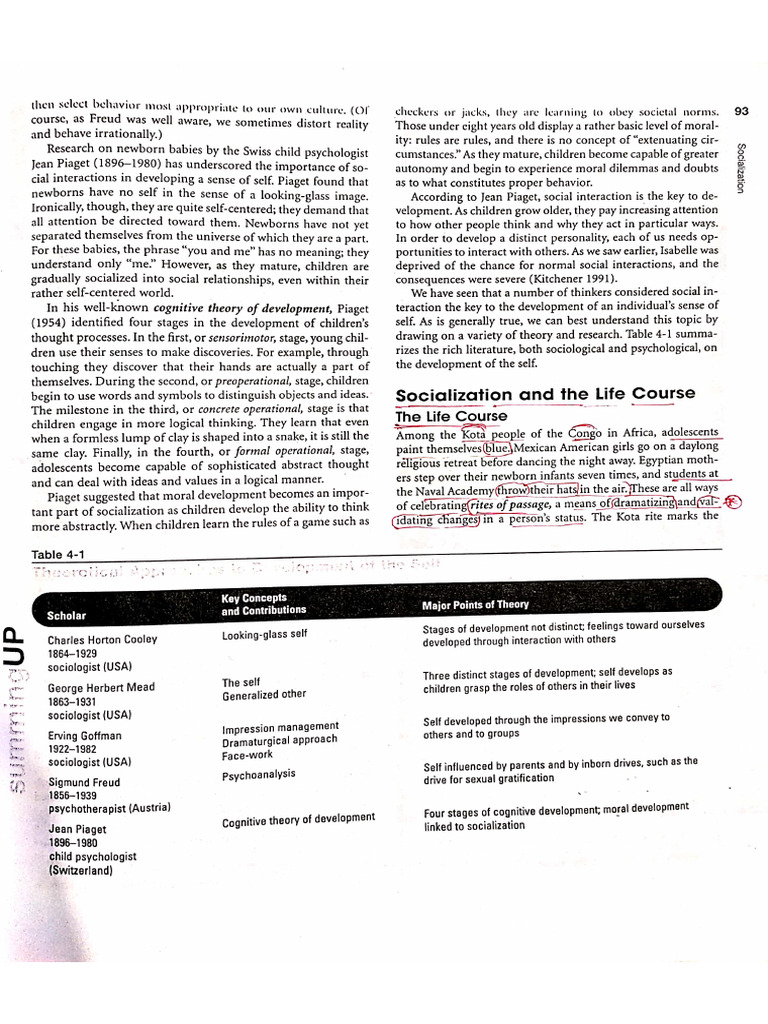 Agents of Socialization (Sociology) | PDF