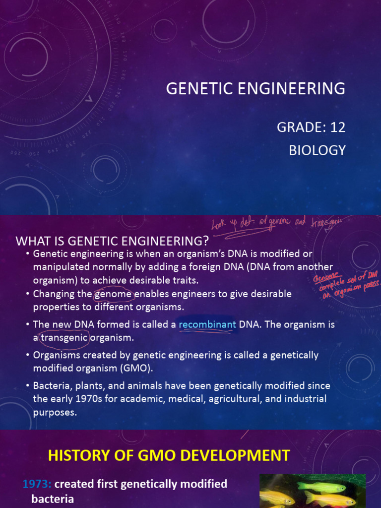 Grade 12 Genetic Engineering | PDF | Genetic Engineering | Molecular Cloning