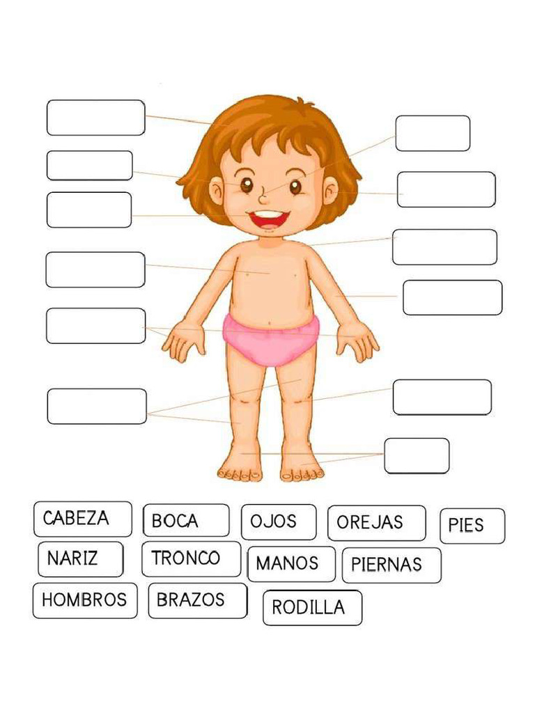 Esquema Corporal | PDF